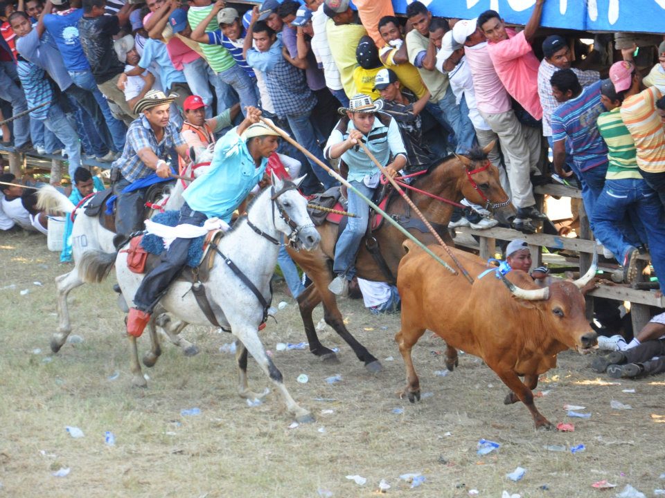 corralejas de la costa: corralejas de la costa